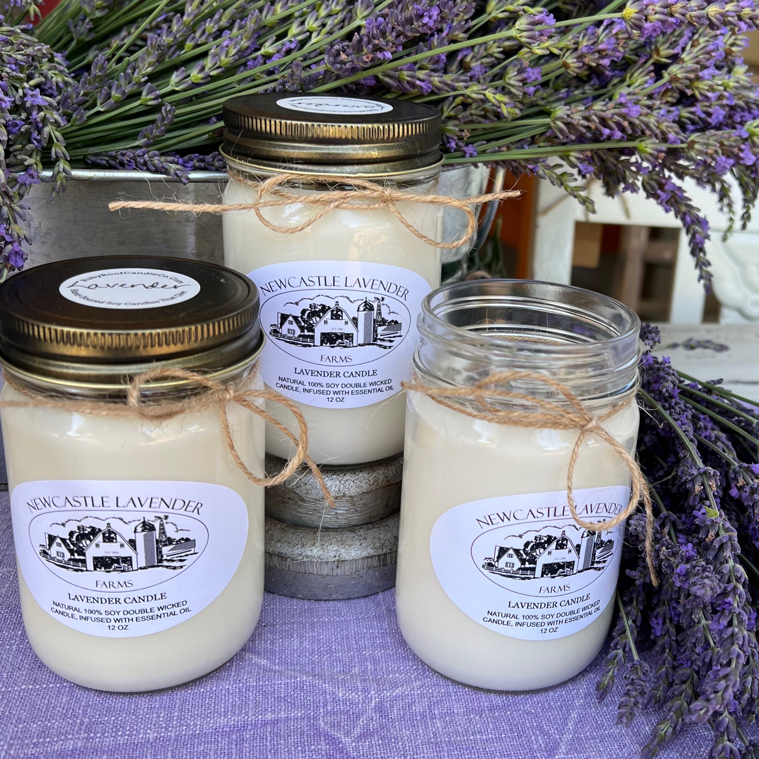 Tea Box | Newcastle Lavender Farms